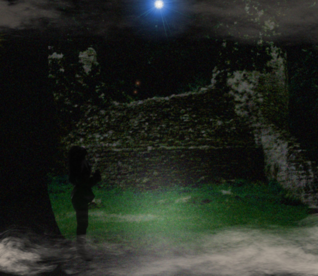 Calling Him Home (100 Word Story #78) – The Angry Farmer